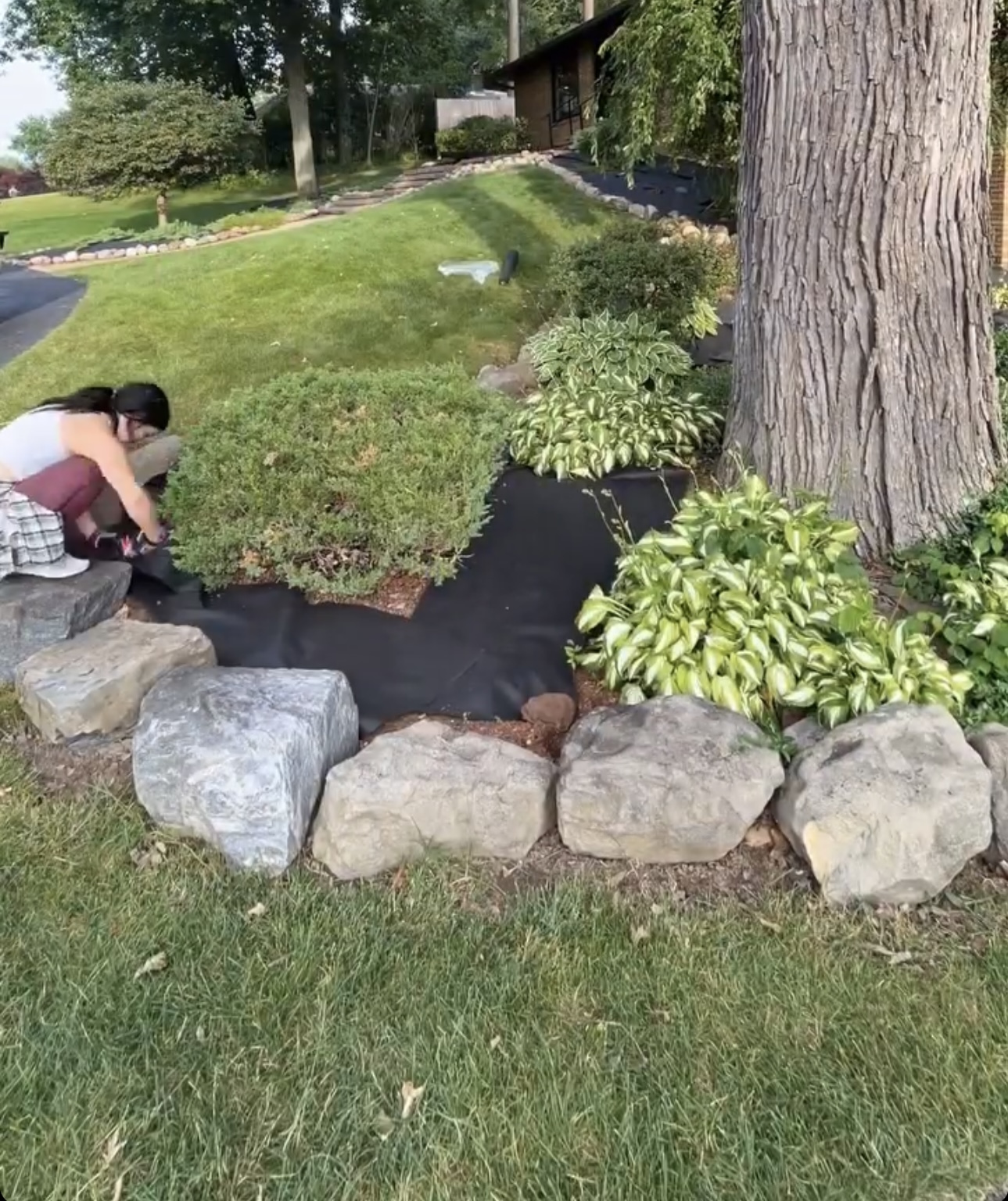 Landscape Update with Black Granite Rocks - Newbuild Newlyweds